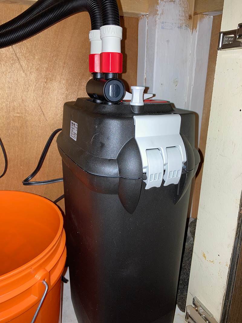Aquarium filtration choices and changes | re.ality